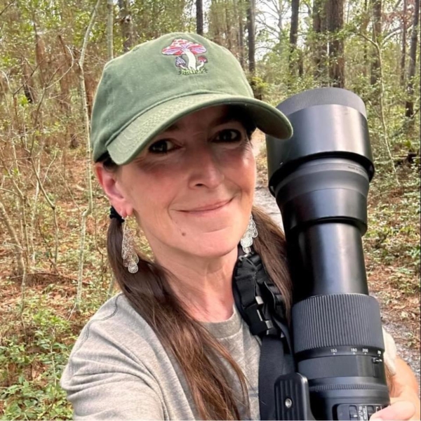 Sally Siko - Official Website